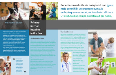 Veterinarian Brochure Template | MyCreativeShop