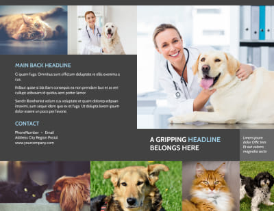 Veterinarian Brochure Template | MyCreativeShop