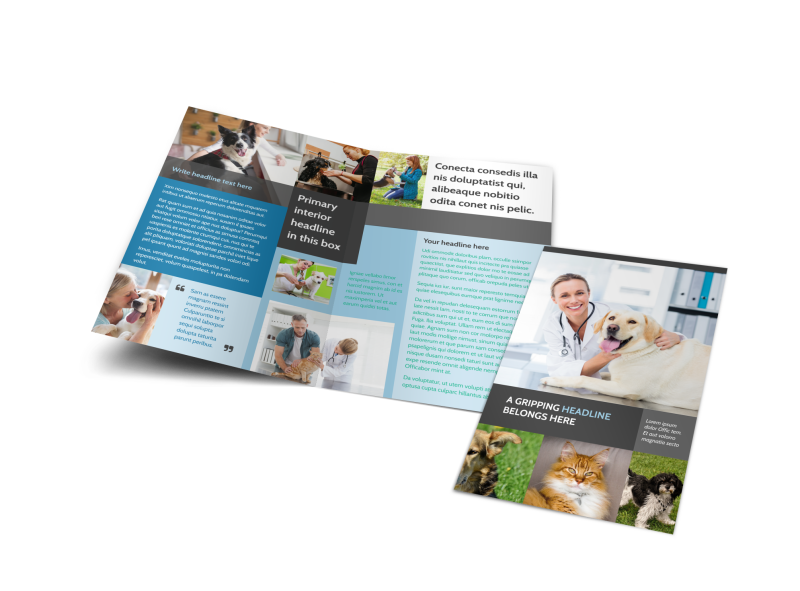 Veterinarian Brochure Template | MyCreativeShop