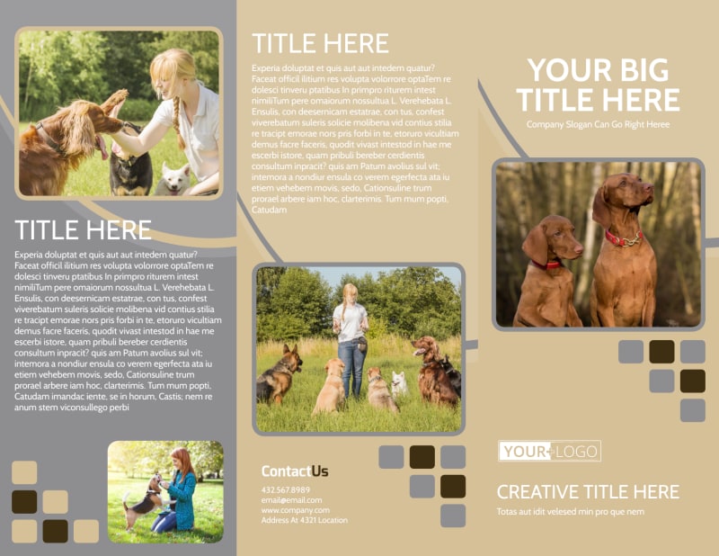 Dog Daycare Brochure Template | MyCreativeShop