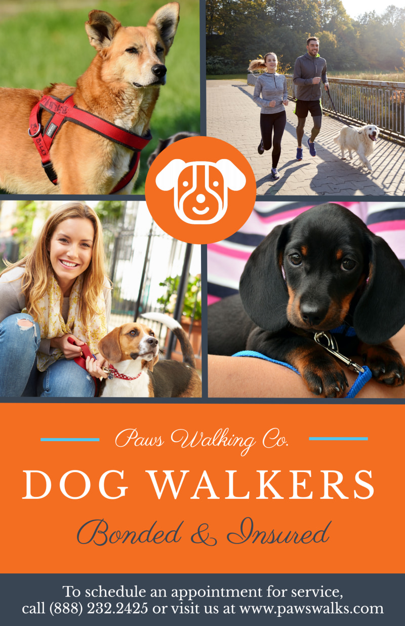 Dog Walkers Poster Template MyCreativeShop