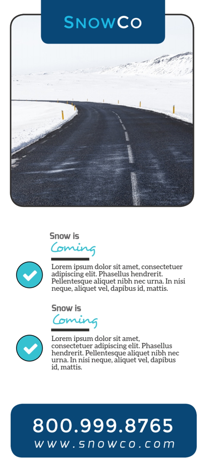 Snow Removal Flyer Template Snow Flyer Templates From GraphicRiver