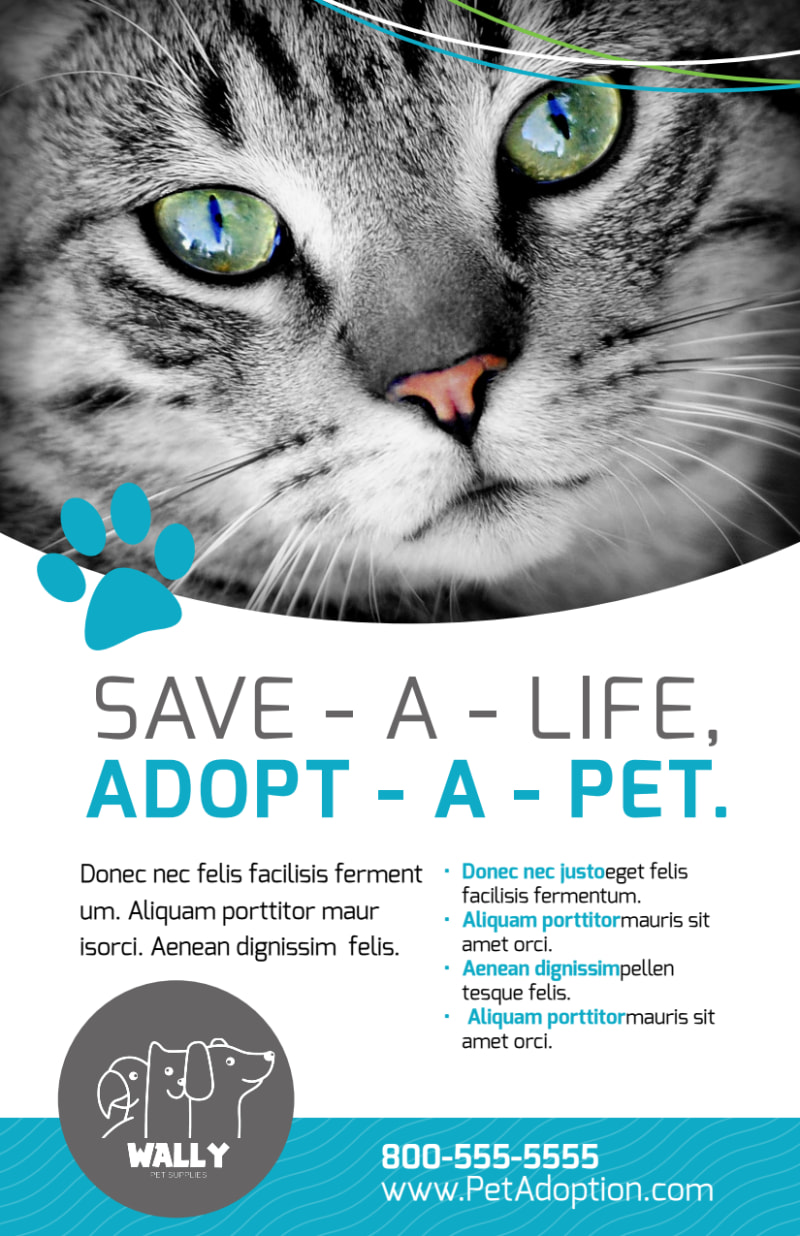 Adopt A Pet Flyer Template MyCreativeShop