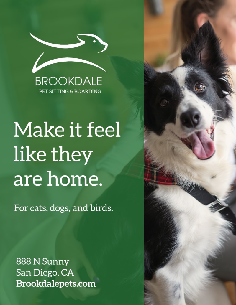 Pet Boarding Flyer Template MyCreativeShop