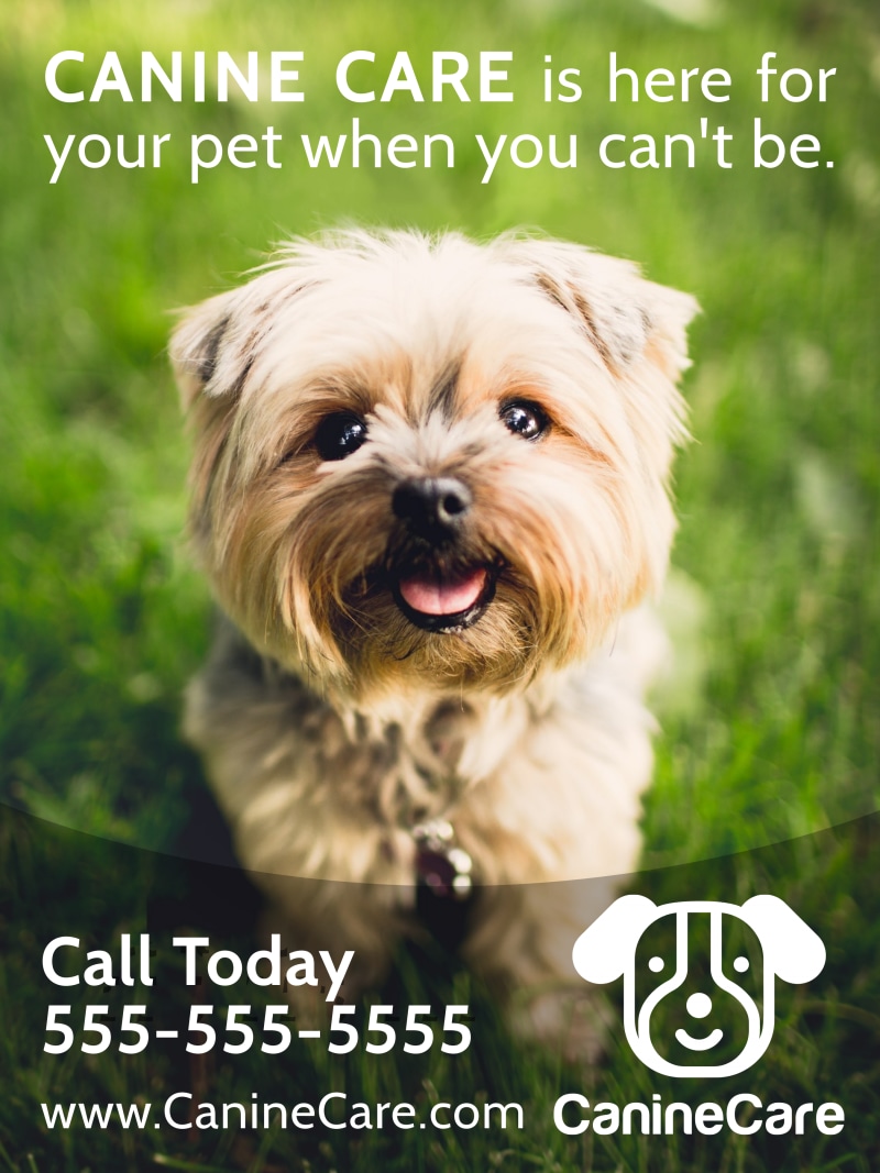 Canine Pet Sitting Poster Template MyCreativeShop Canine Pet Sitting Poster Template MyCreativeShop