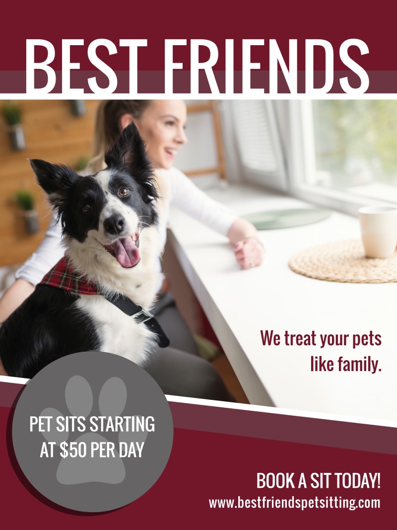 Pet Sitting Outreach Poster Template MyCreativeShop