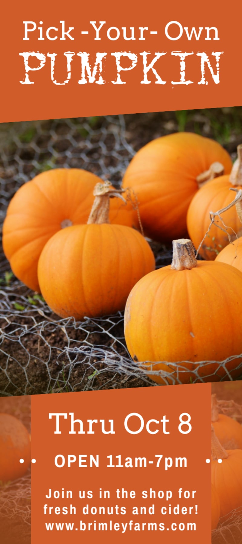 Pumpkin Picking Flyer Template MyCreativeShop
