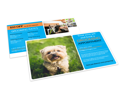Dog Grooming Brochure Templates | MyCreativeShop