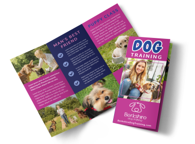 Dog Training Brochure Templates | MyCreativeShop