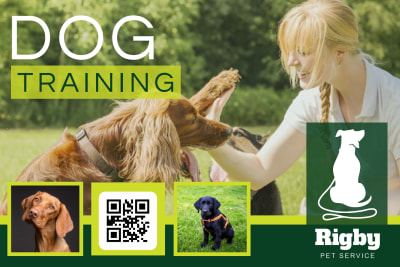 Dog Training Postcard Templates | MyCreativeShop
