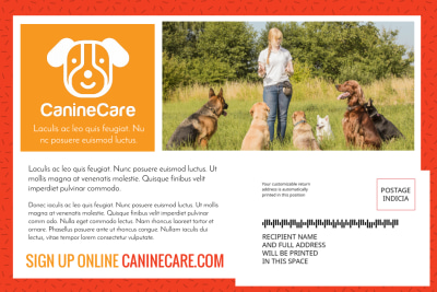 Dog Training Postcard Templates | MyCreativeShop