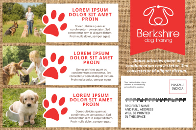 Dog Training Postcard Templates | MyCreativeShop