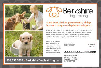 Dog Training Postcard Templates | MyCreativeShop