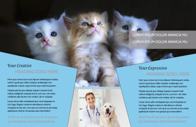 Veterinary Hospital Brochure Template | MyCreativeShop