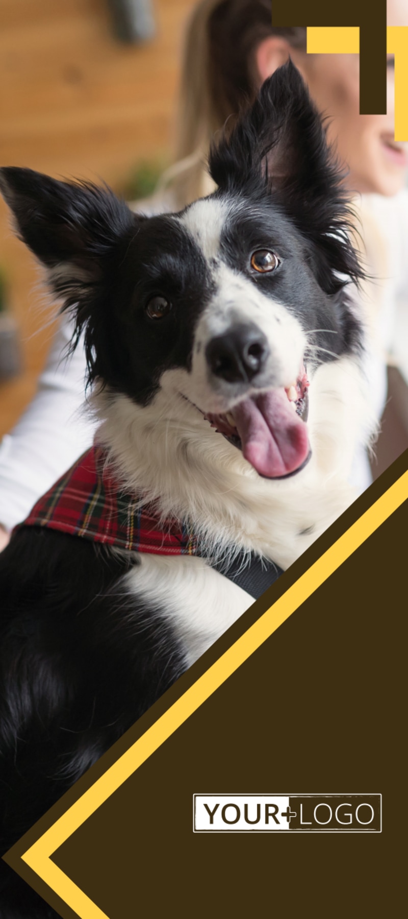 Dog Training Flyer Template | MyCreativeShop