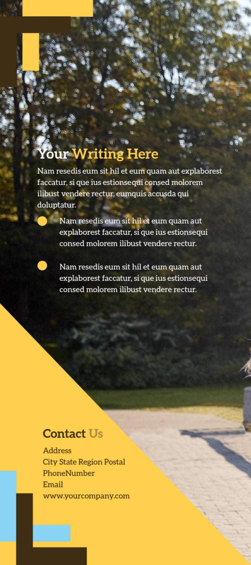 Dog Training Flyer Template | MyCreativeShop