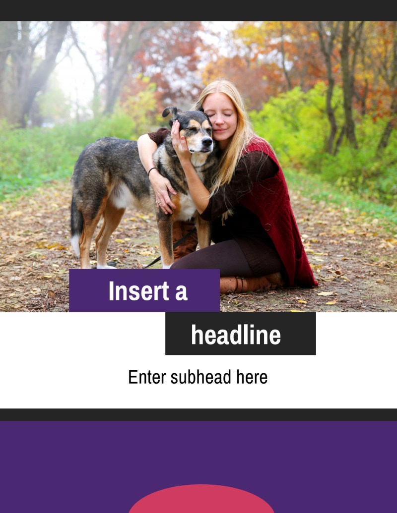 Pet Adoption Flyer Template MyCreativeShop