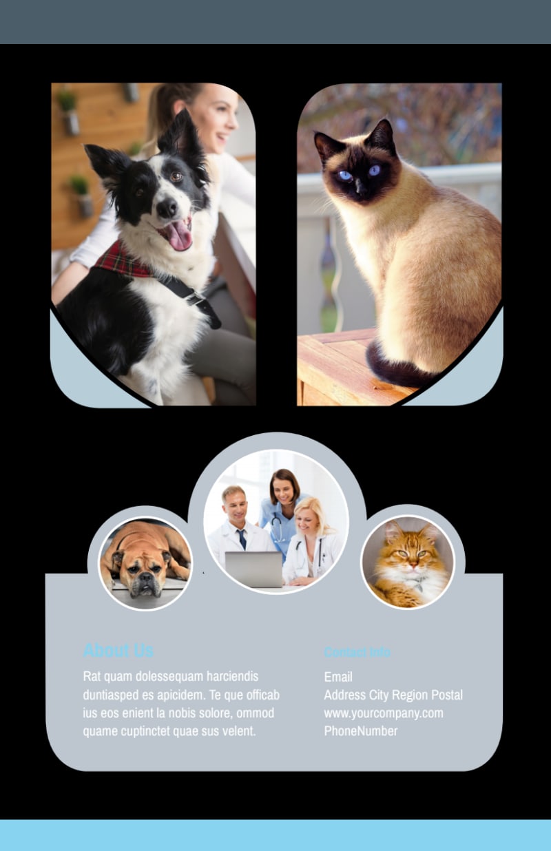 Veterinary Clinic Flyer Template | MyCreativeShop