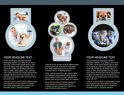 Veterinary Clinic Brochure Template | MyCreativeShop