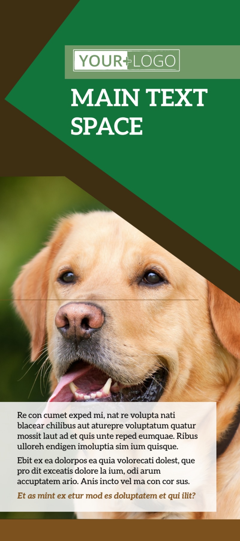 Pet Kennels Flyer Template | MyCreativeShop