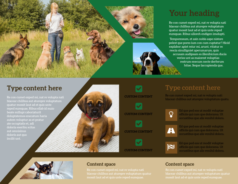 Pet Kennels Brochure Template | MyCreativeShop