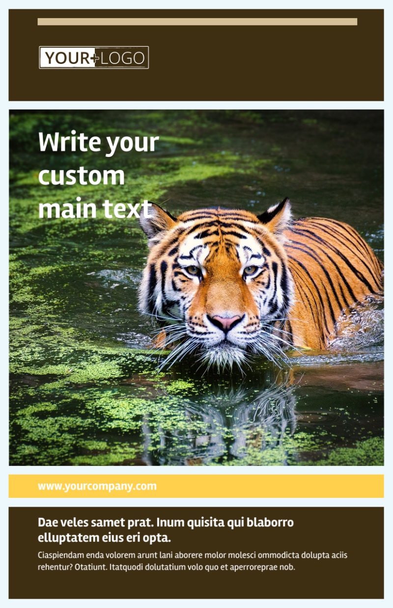 Zoo & Wild Animal Park Flyer Template | MyCreativeShop