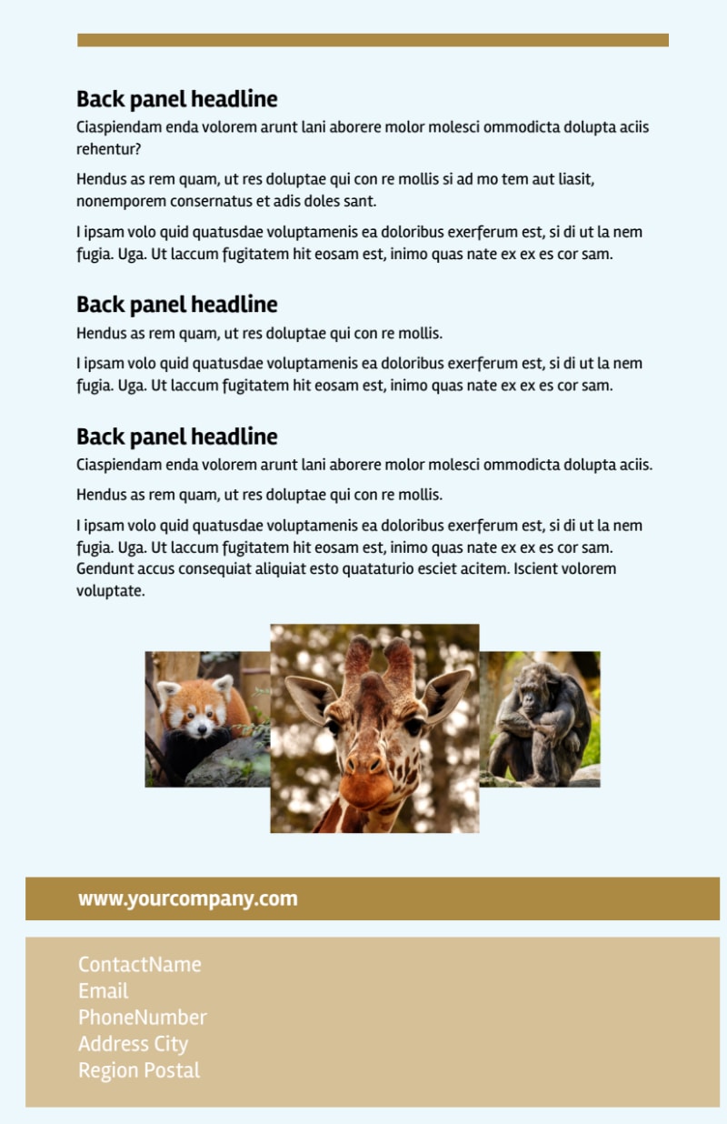 Zoo & Wild Animal Park Flyer Template | MyCreativeShop