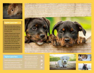Pet Store Brochure Template | MyCreativeShop