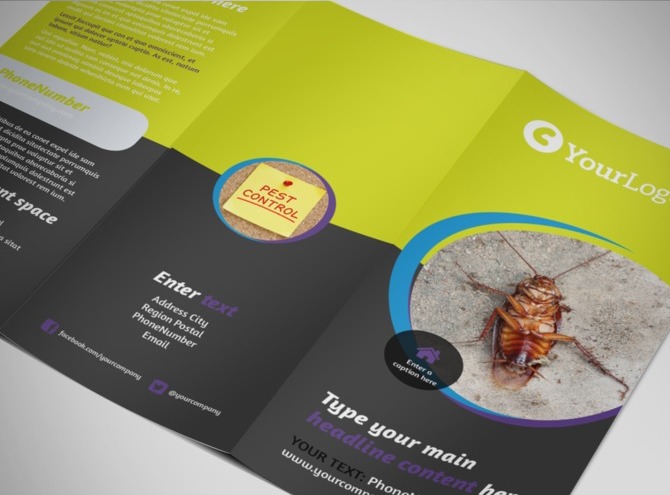 Pest Control Services Tri-Fold Brochure Template